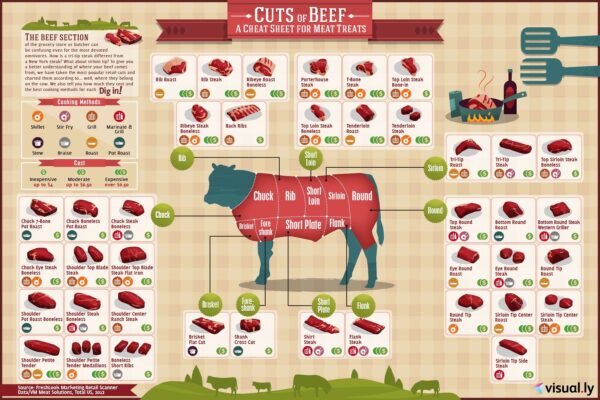 Printable Beef Cuts Chart - Printable Chart Template