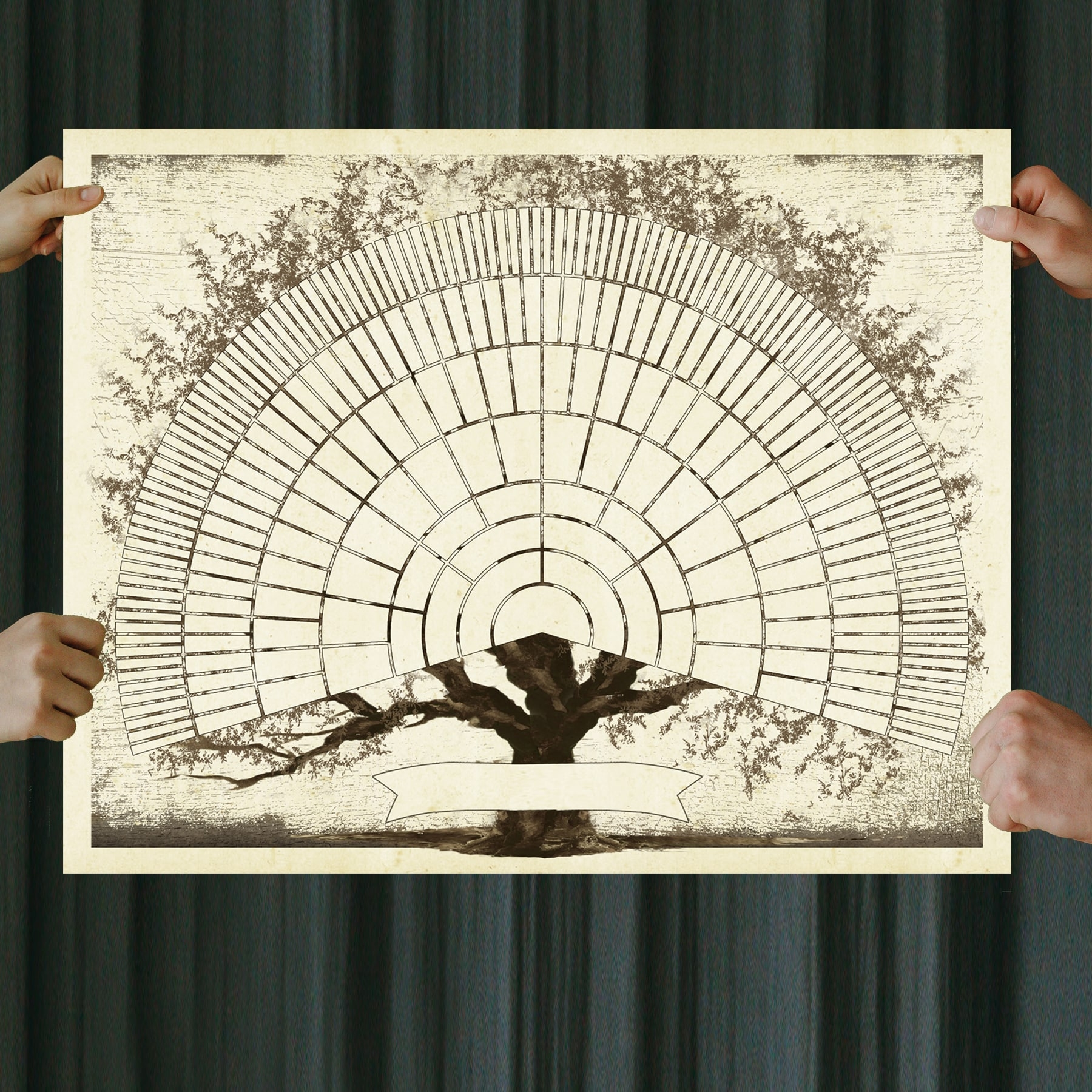 Free Printable Fan Chart Family Tree - Printable Chart Template